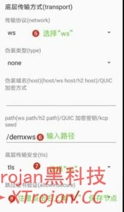 如何快速使用 Xray-core Xray VLESS VMESS TLS CDN 教程 | Windows MacOS Android ...