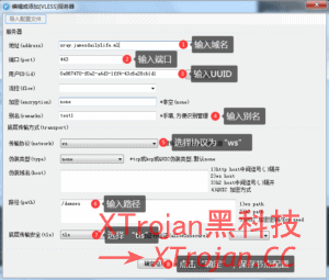 如何快速使用 Xray-core Xray VLESS VMESS TLS CDN 教程 | Windows MacOS Android ...