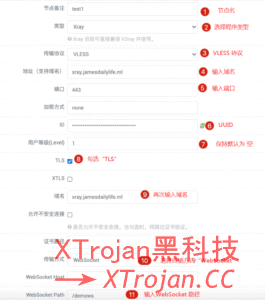 如何快速使用 Xray-core Xray VLESS VMESS TLS CDN 教程 | Windows MacOS Android ...