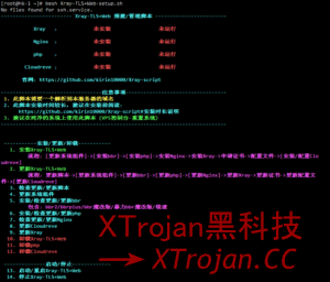 Xray教程 VLESS + XTLS Xray 服务器安装使用详解 - XTrojan黑科技
