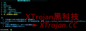 Xray教程 VLESS + XTLS Xray 服务器安装使用详解 - XTrojan黑科技