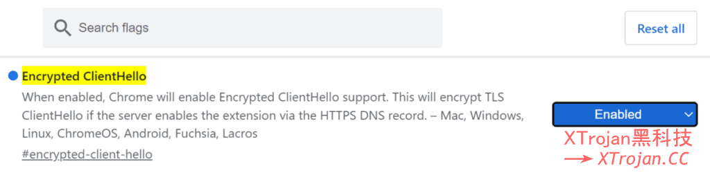 在 Google Chrome 浏览器中开启 DOH 和 ECH、增强安全性和隐私性的图文教程 - XTrojan黑科技