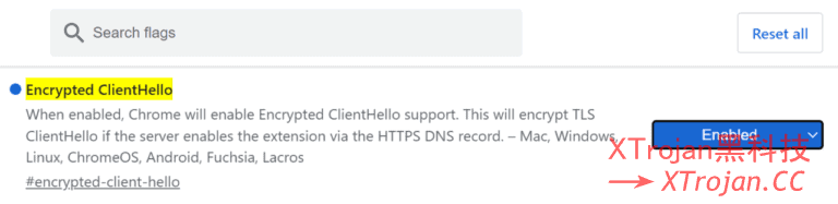 在 Google Chrome 浏览器中开启 DOH 和 ECH、增强安全性和隐私性的图文教程 - XTrojan黑科技